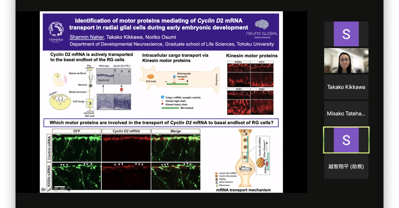 オンライン大学院入試説明会｜仙台通信note (Sendaitribune)
