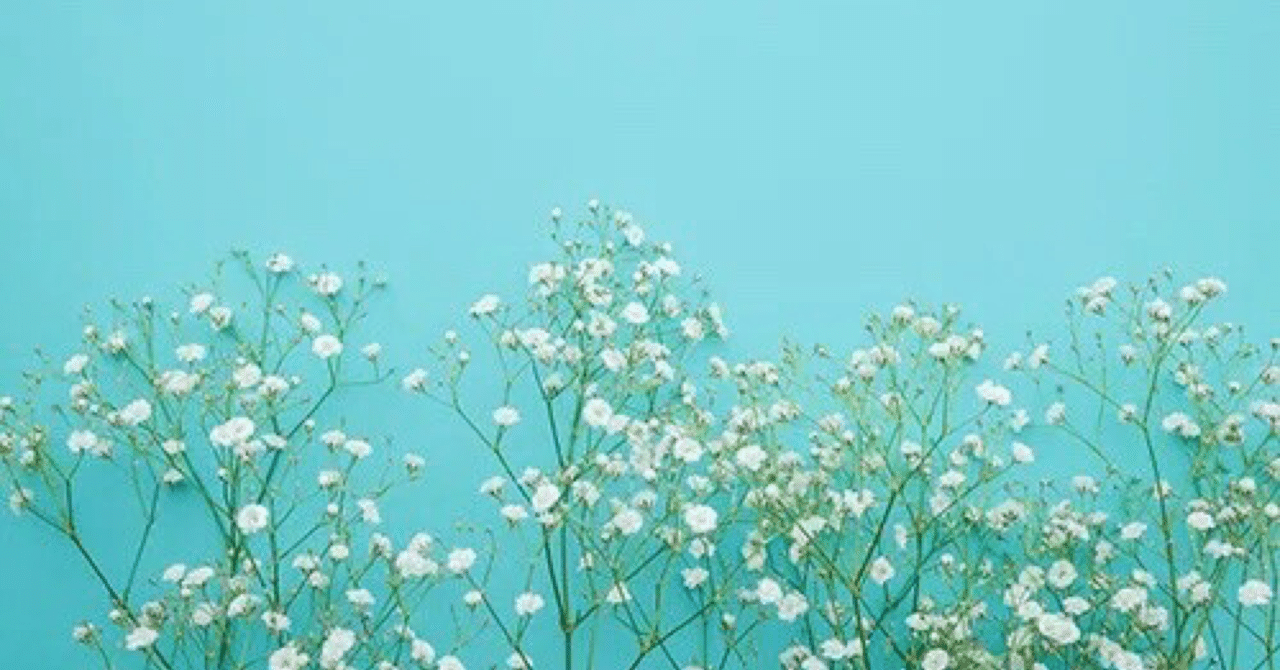 Hello!｜黒糖ちゃん