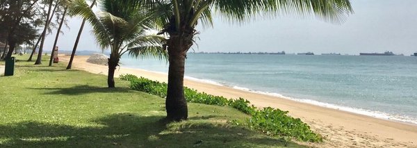 まゆ｜Mayu Nishikawa｜note