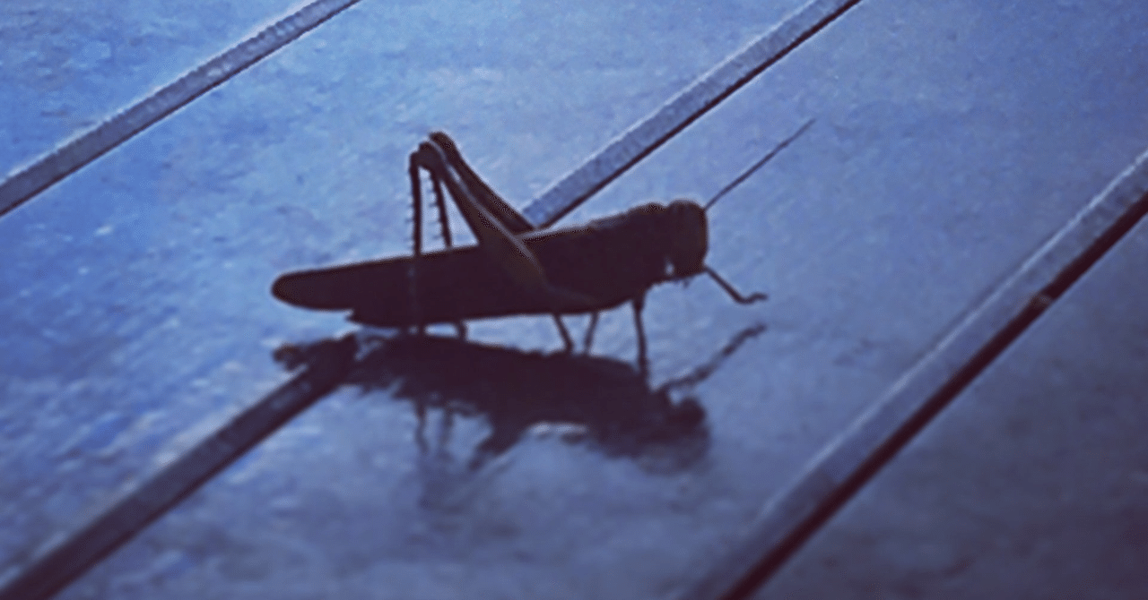 元気がないときに読みたい一冊『バッタを倒しにアフリカへ』｜Ryuji Misawa｜note