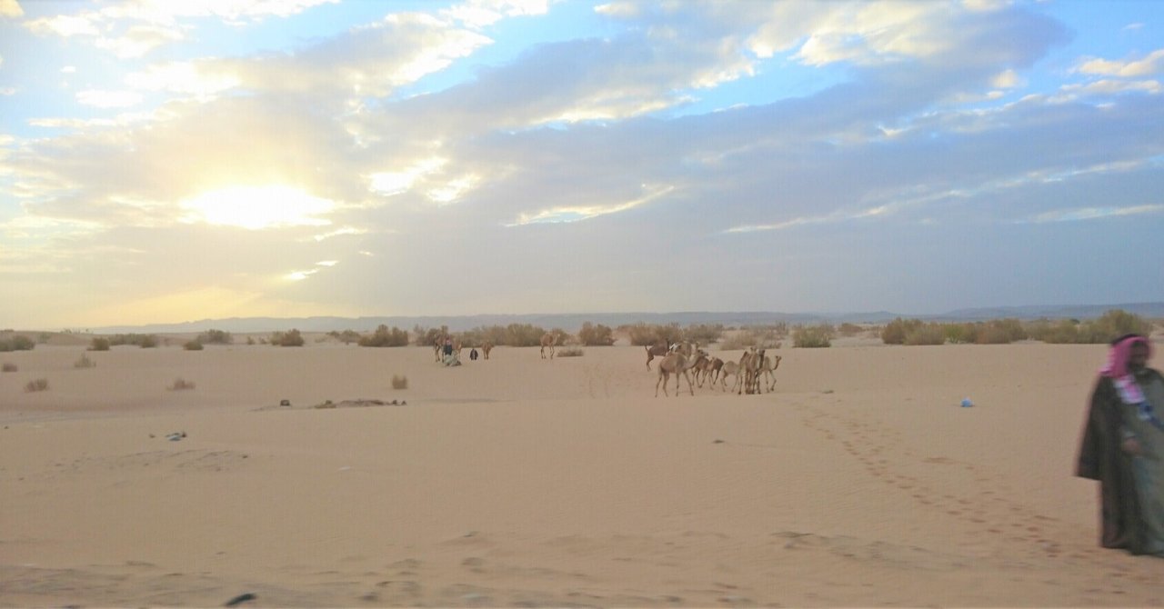 ABC197 C問題(bit全探索)｜Teppe