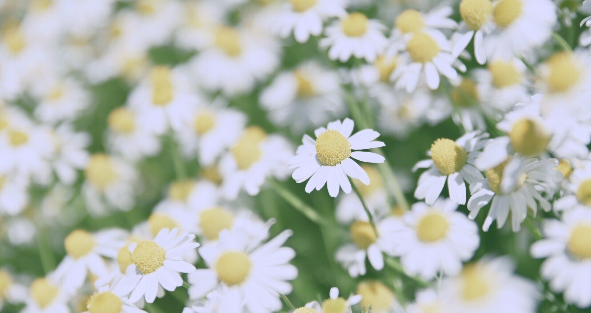 Mako/マコ @魅せるビジュアルプロデューサー＆カメラマン｜note