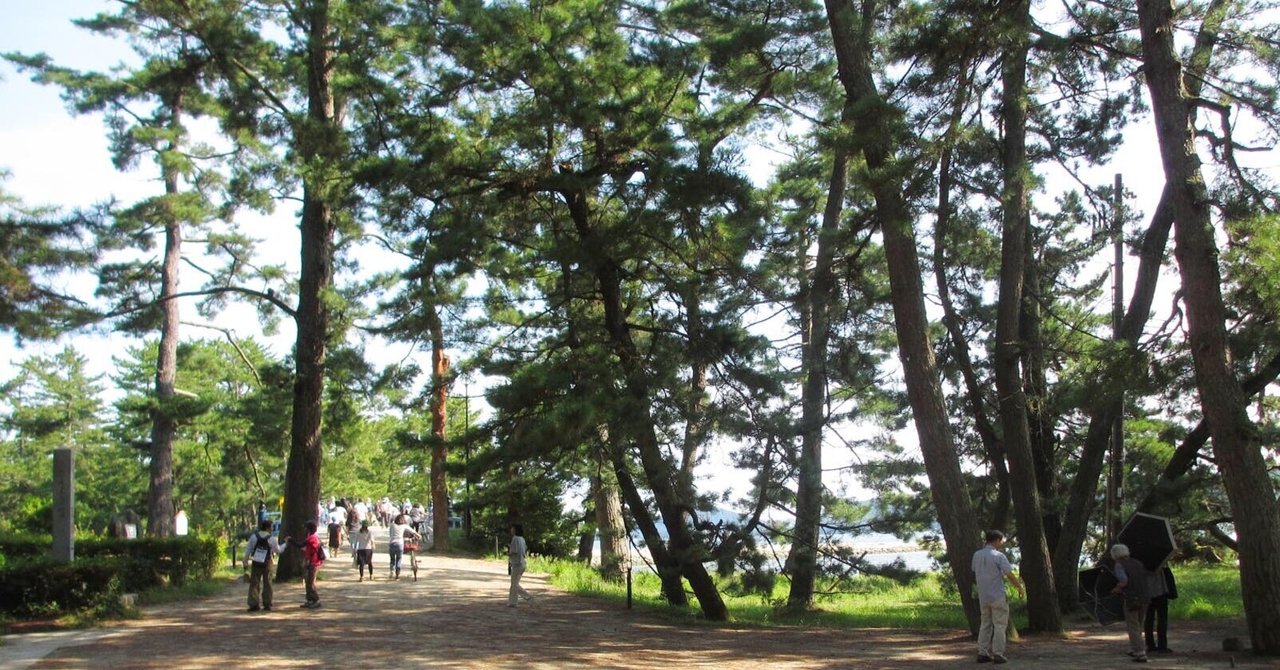 【みちらん10】放っておくと無くなるかもしれないみち ～天橋立～｜TC坂上＠さんぽみち