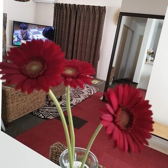 🐰usami🐰｜note