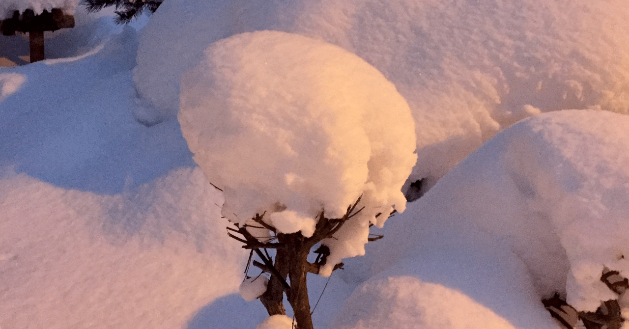 django ImageFieldで〇〇.urlが使えないときの力技｜匠のためのpython