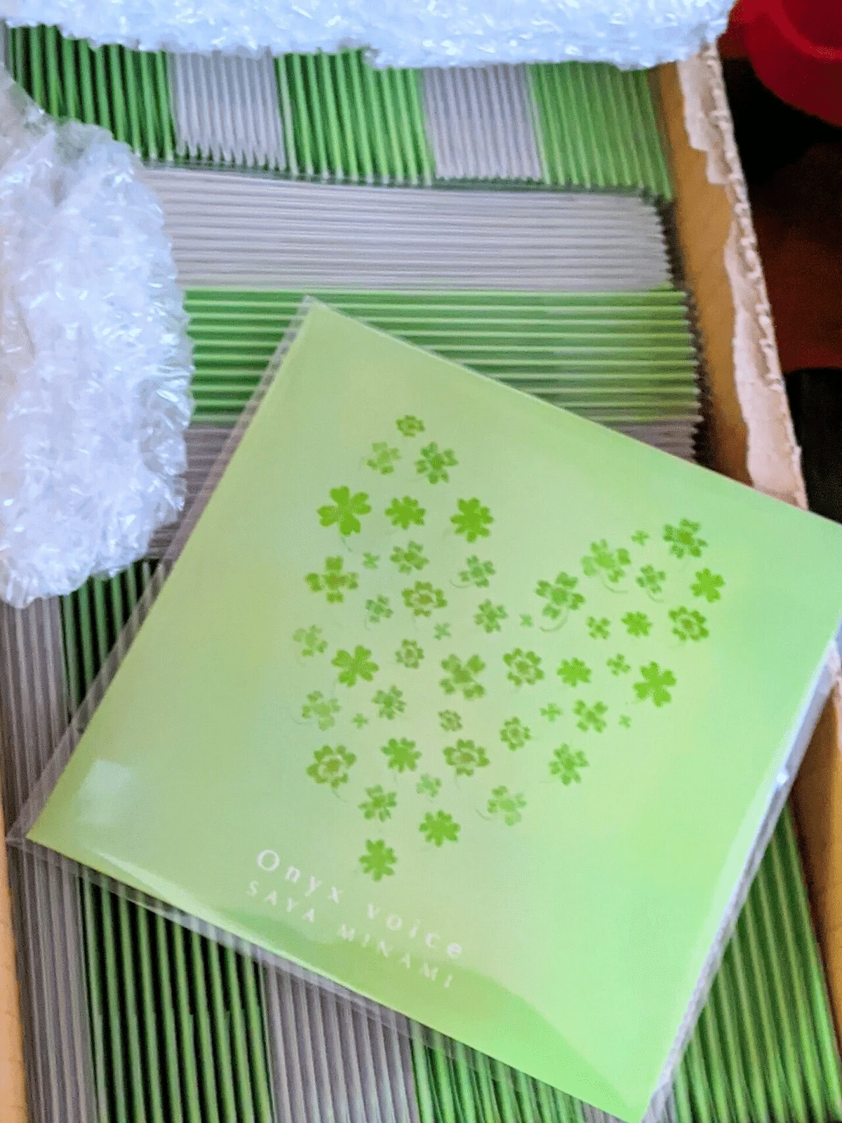 【NewCD】OnyxVoiceLiveRec｜南紗椰