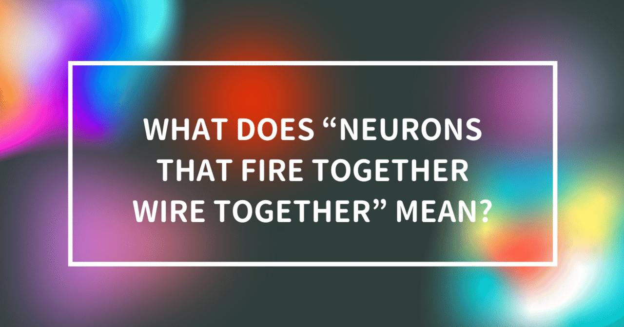 “NEURONS THAT FIRE TOGETHER WIRE TOGETHER”｜嶋田光二