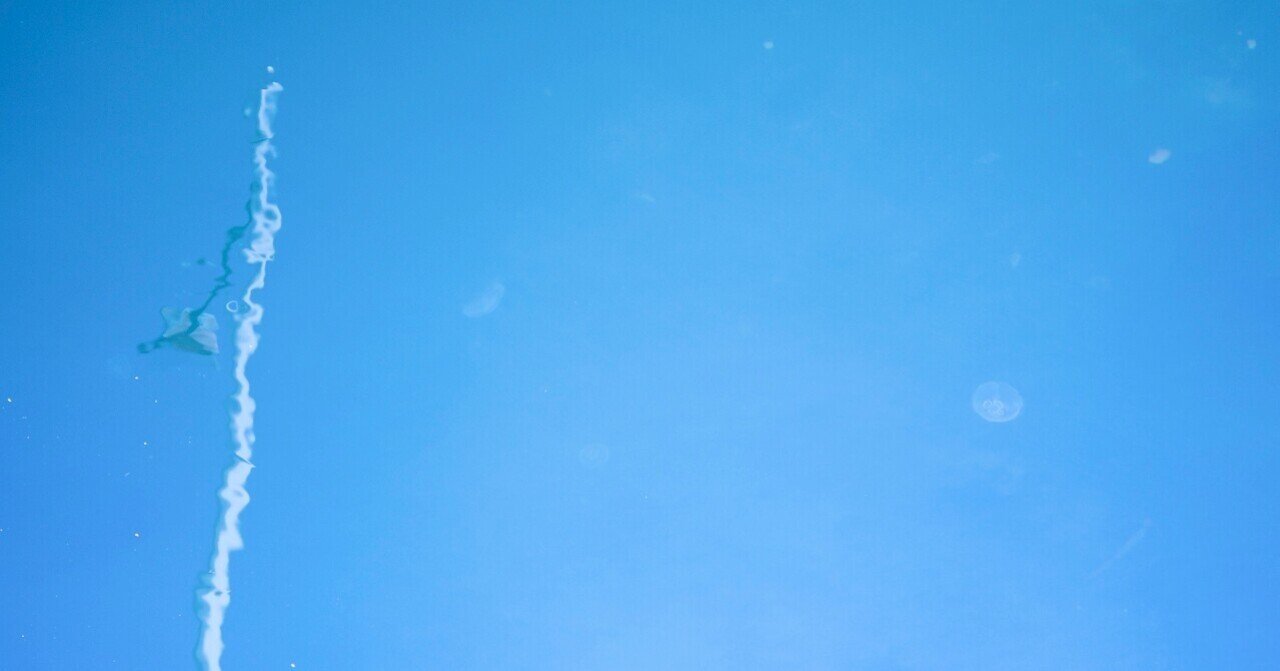 reflection/distortion_fish_07 (photo gallery)｜ぷらいまり。