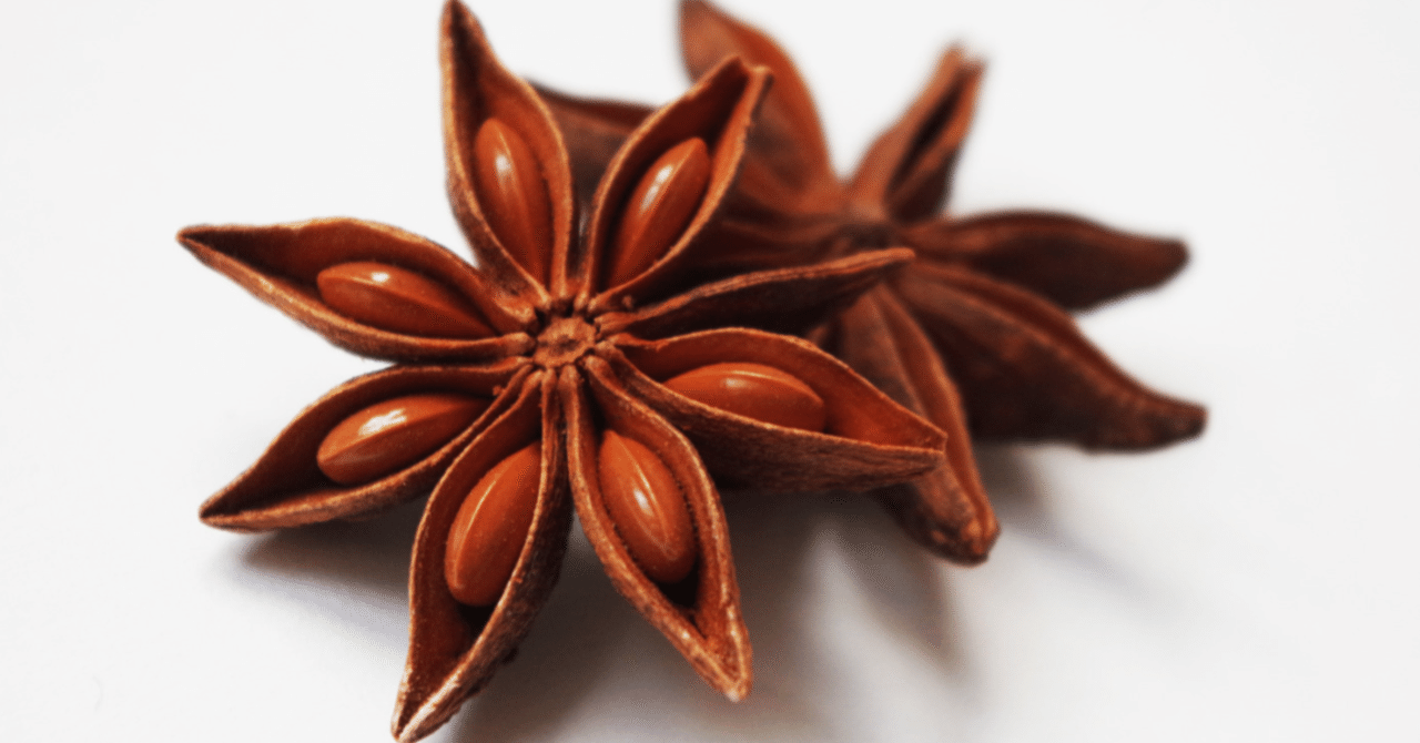 star aniseスターアニス(八角)8の数字のマジック♩｜Oli SAORI