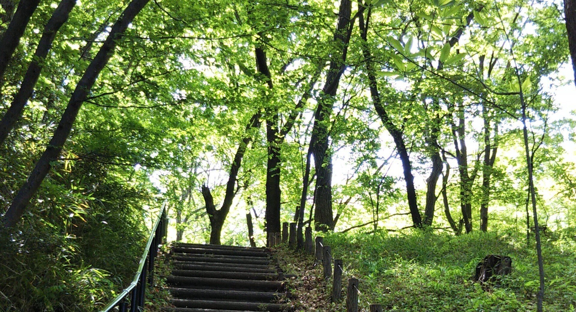 湊谷翔-Minatoya Kakeru-｜note