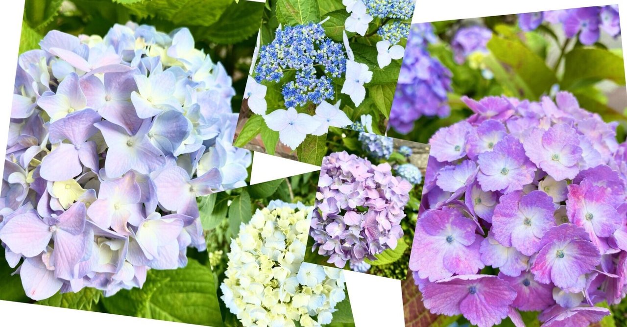 取材をきっかけに自分を考察💡｜allie｜note