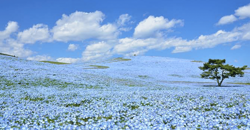 【公式】LOFT101 SAPPORO｜note