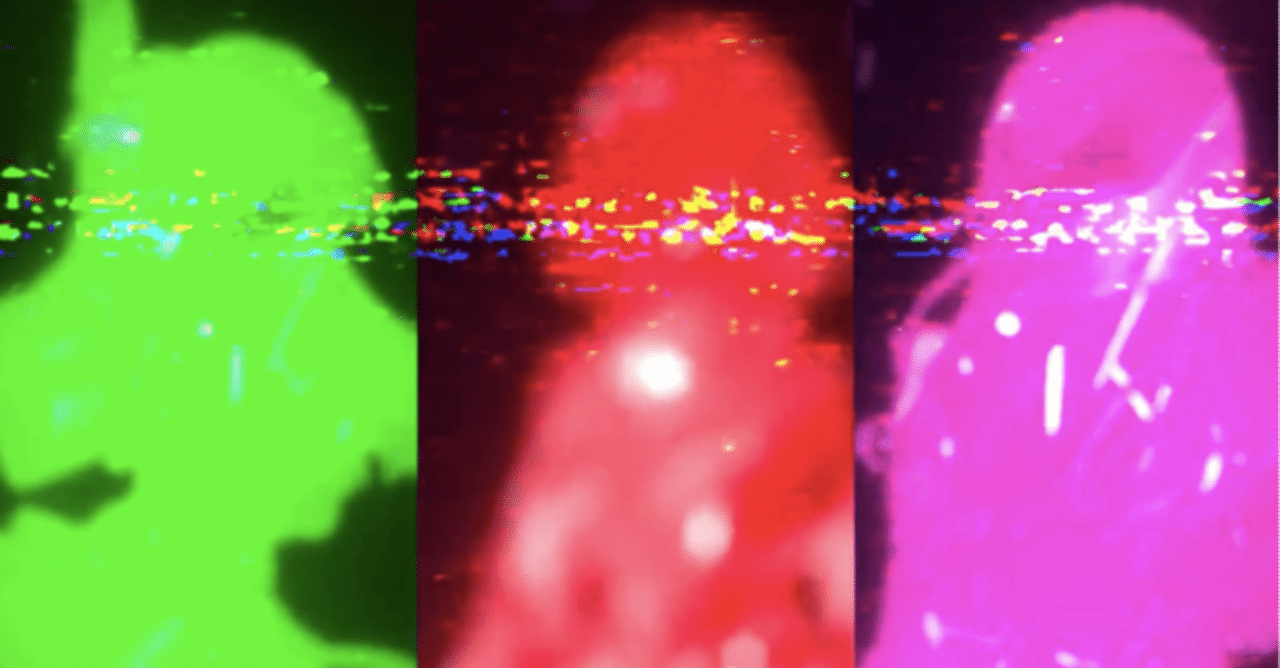 「本物」と「偶像」の概念から、『Hide&Attack』に潜むトリプルミーニングとストレイライトの「真ん中」について再考する。｜JS