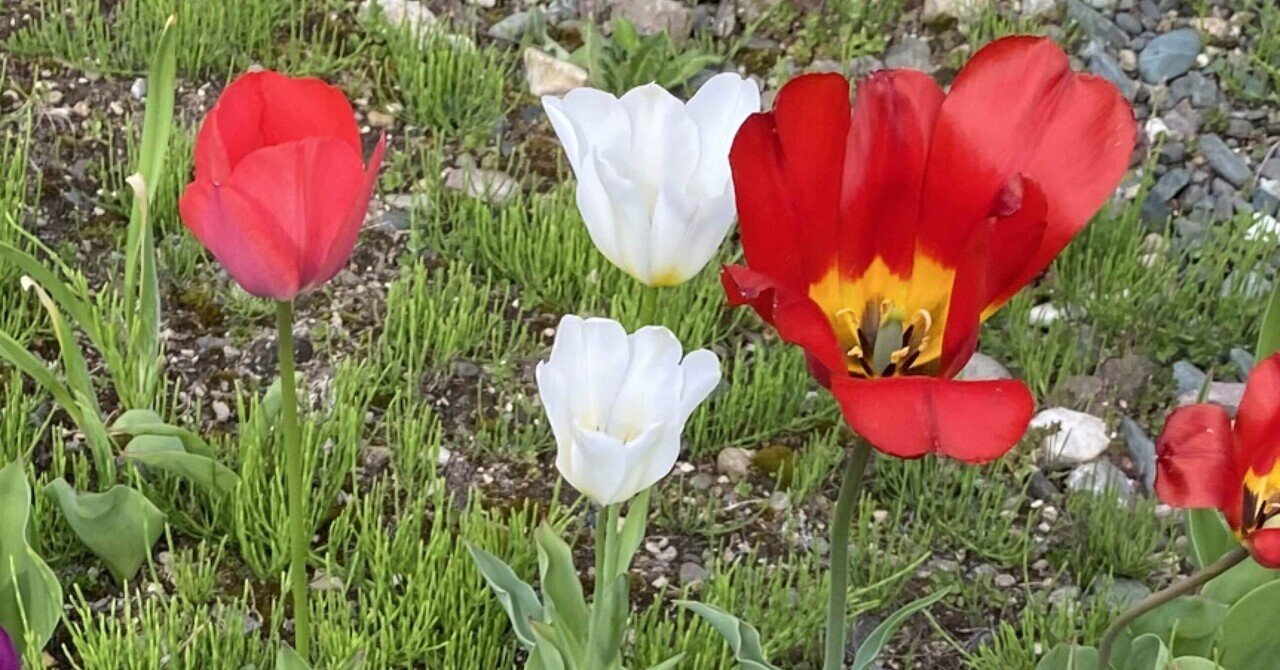 コロナに負けるな！という意識②｜ma-hideの挑戦マスター｜note