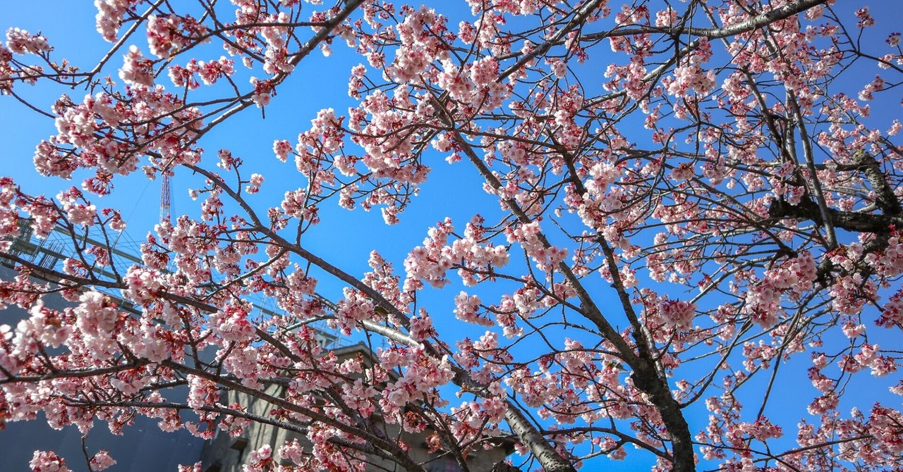 エネマグラ、使い終わったら？｜Enemagra