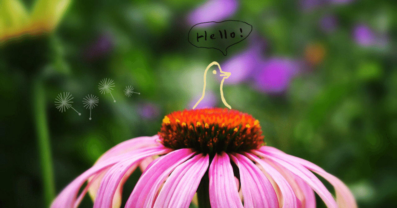 ABC202 参戦記｜Teppei Senda