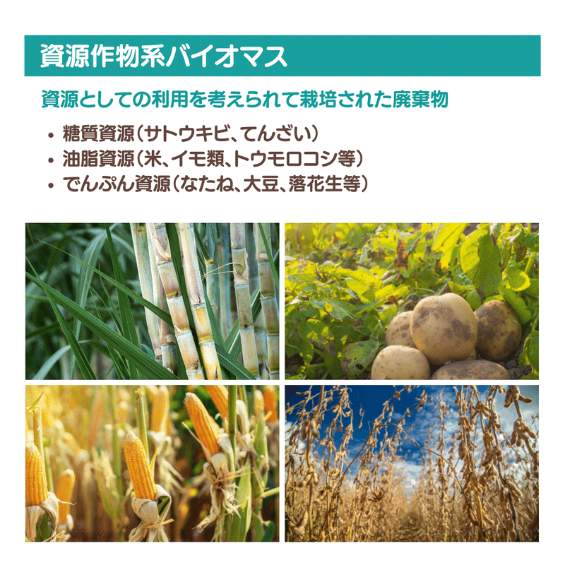 『バイオマス素材』どんなものがある？｜biopoly_joetsu｜note