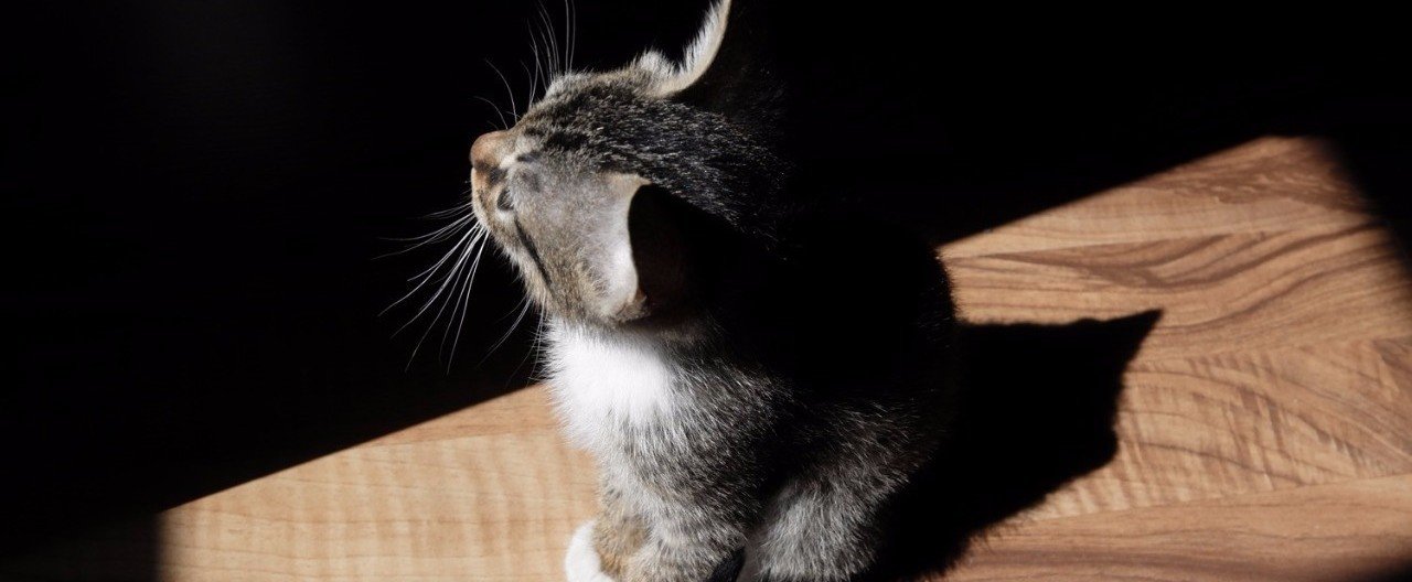 最後の最後で自分に甘えないように｜平野太一