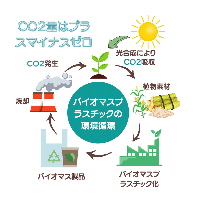『バイオマス素材』どんなものがある？｜biopoly_joetsu｜note