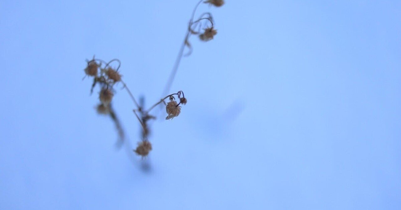 『いま』 = 一瞬の連続｜Miyuki Suto