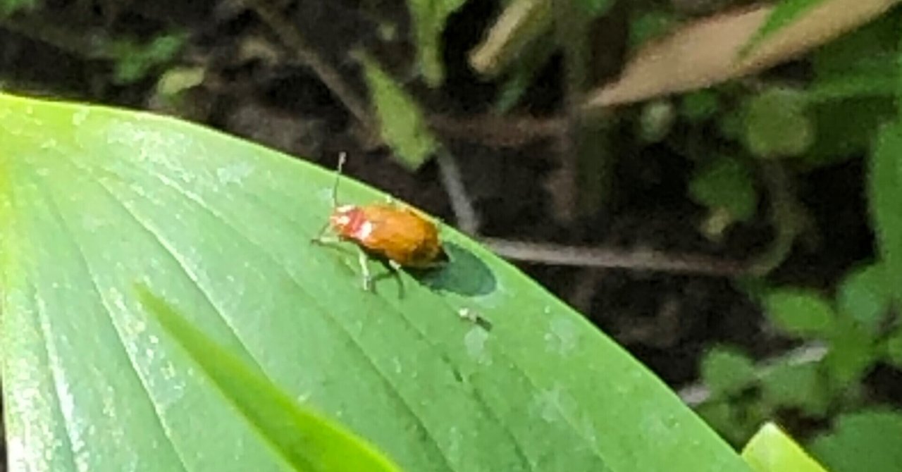 大失敗｜retugg｜note