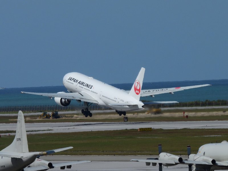 COOLPIX P950 レビュー｜はるのき