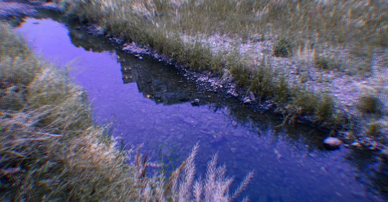 生命の祝祭と向き合う距離感.｜HoneyOG / Yuki sako｜note