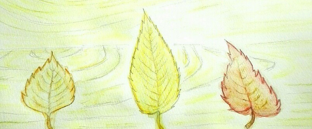 ☆ しごとについて ②｜mikako ｜note