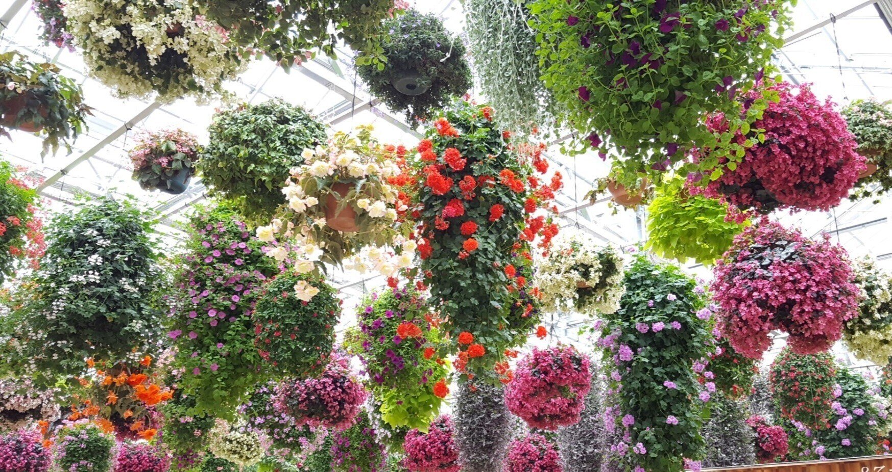 虹の彼方から Bright day EIKO｜note