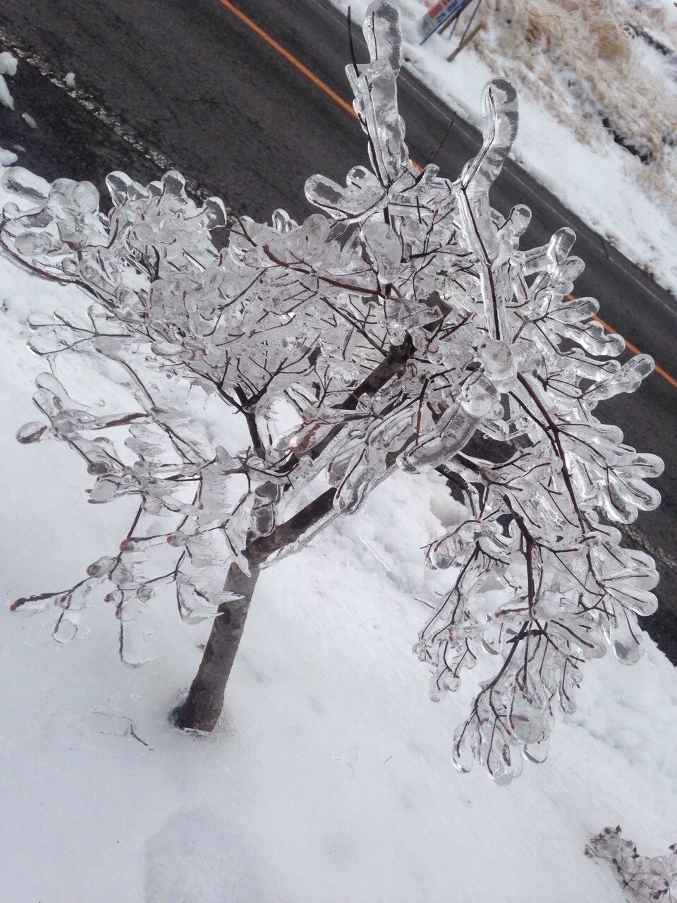 Keisuke Tanaka｜note