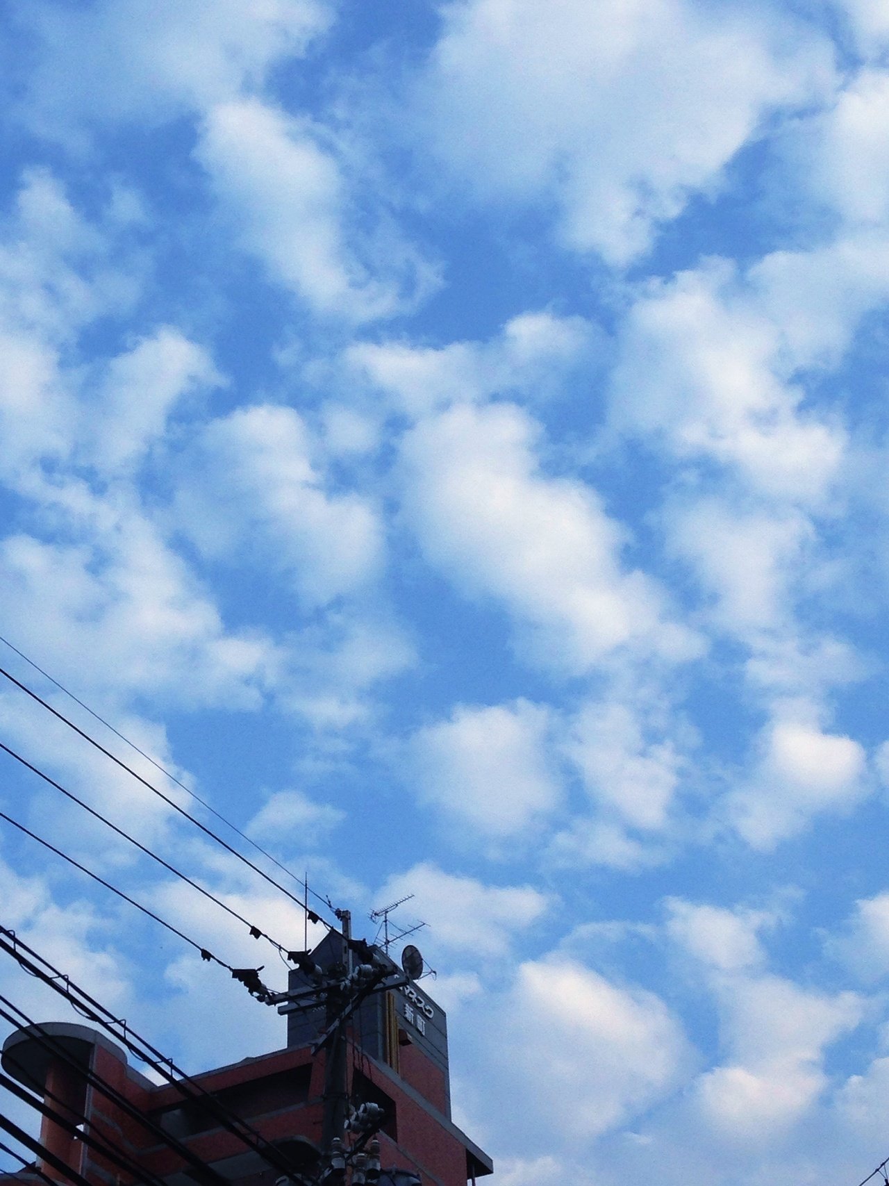 Photo｜Keisuke Tanaka