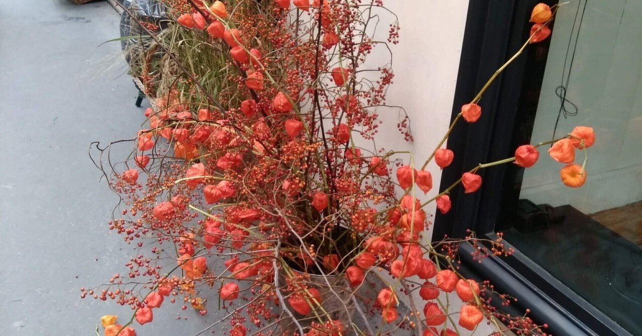 未生流のラフ・スケッチ｜Hiroki Shirota｜note