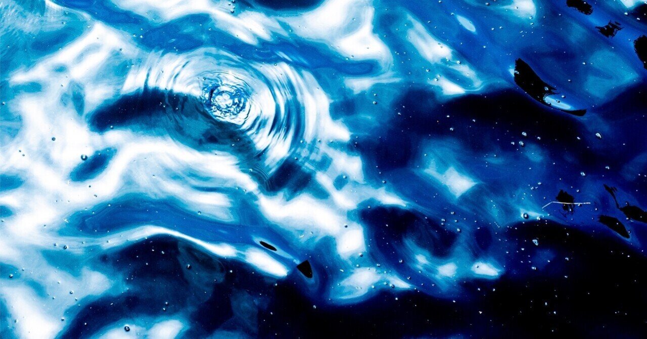 reflection/distortion_fish_08 (photo gallery)｜ぷらいまり。｜note