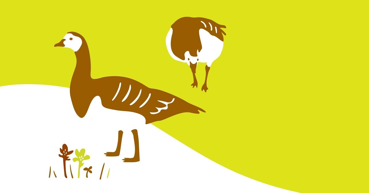 ヴァンセンヌの森の鳥たち｜Akiko Hirota