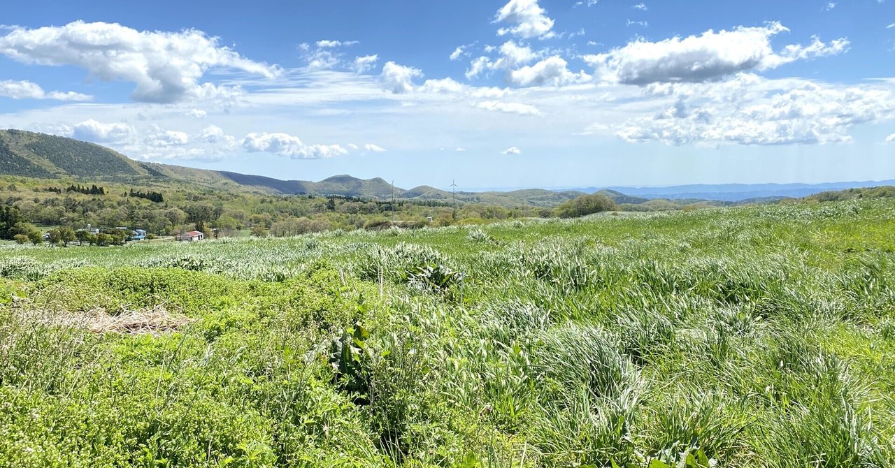 足の爪切り×進化するトキ｜阿邊里恵_rie abe