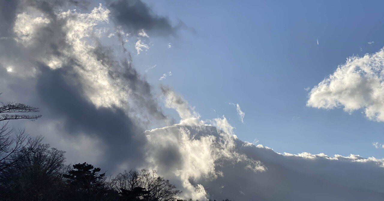 目の前を飛び交う、強い情報の扱い方｜Noriko Nakane ｜note