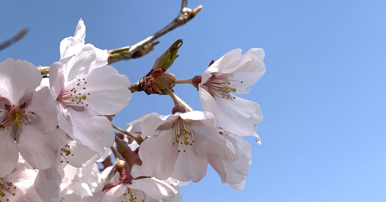 EP85【決めたふたつの事】｜お名前セラピスト【rashiku】きょうこのおと。｜note