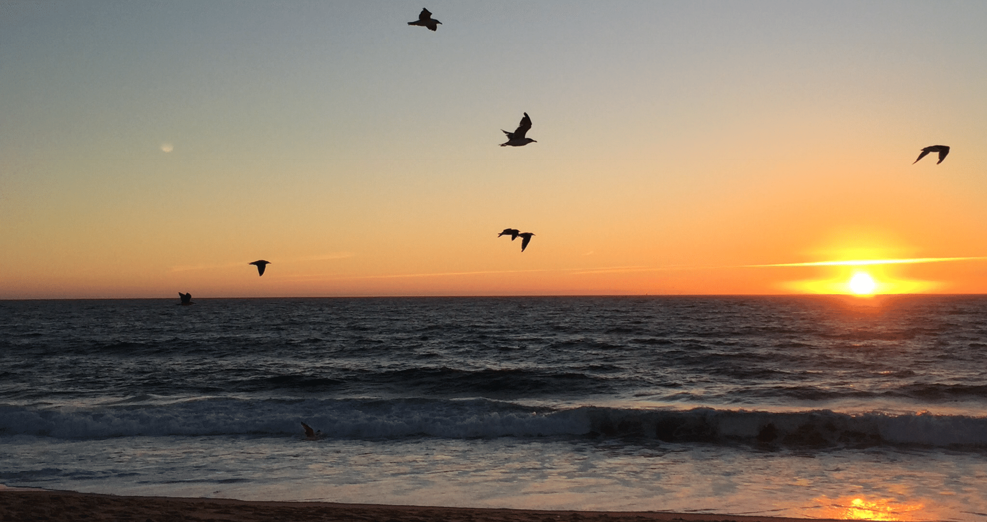 ぽるとがるらいふ - Mieko｜note