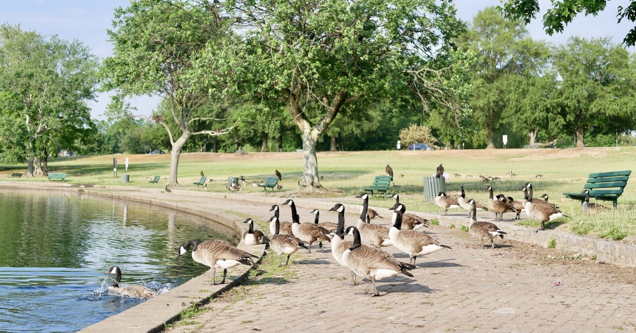 勝手にフォロワーさんの記事を紹介してみる企画 第3弾｜だいき＠Daiki`s note｜note