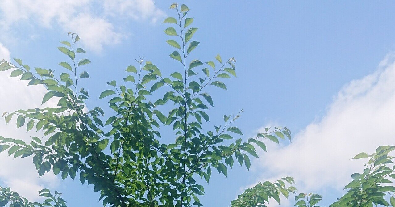 性教育とは相手を思いやること。｜Reiko Hara｜note