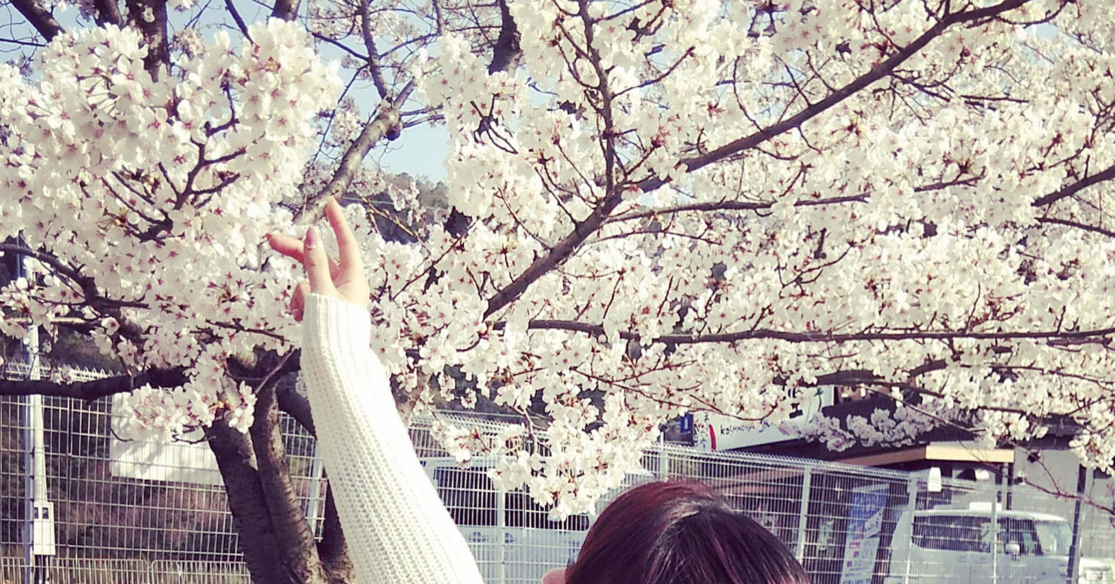 arinko. ̈⃝︎⋆︎*🎈フォロバ100♡｜note