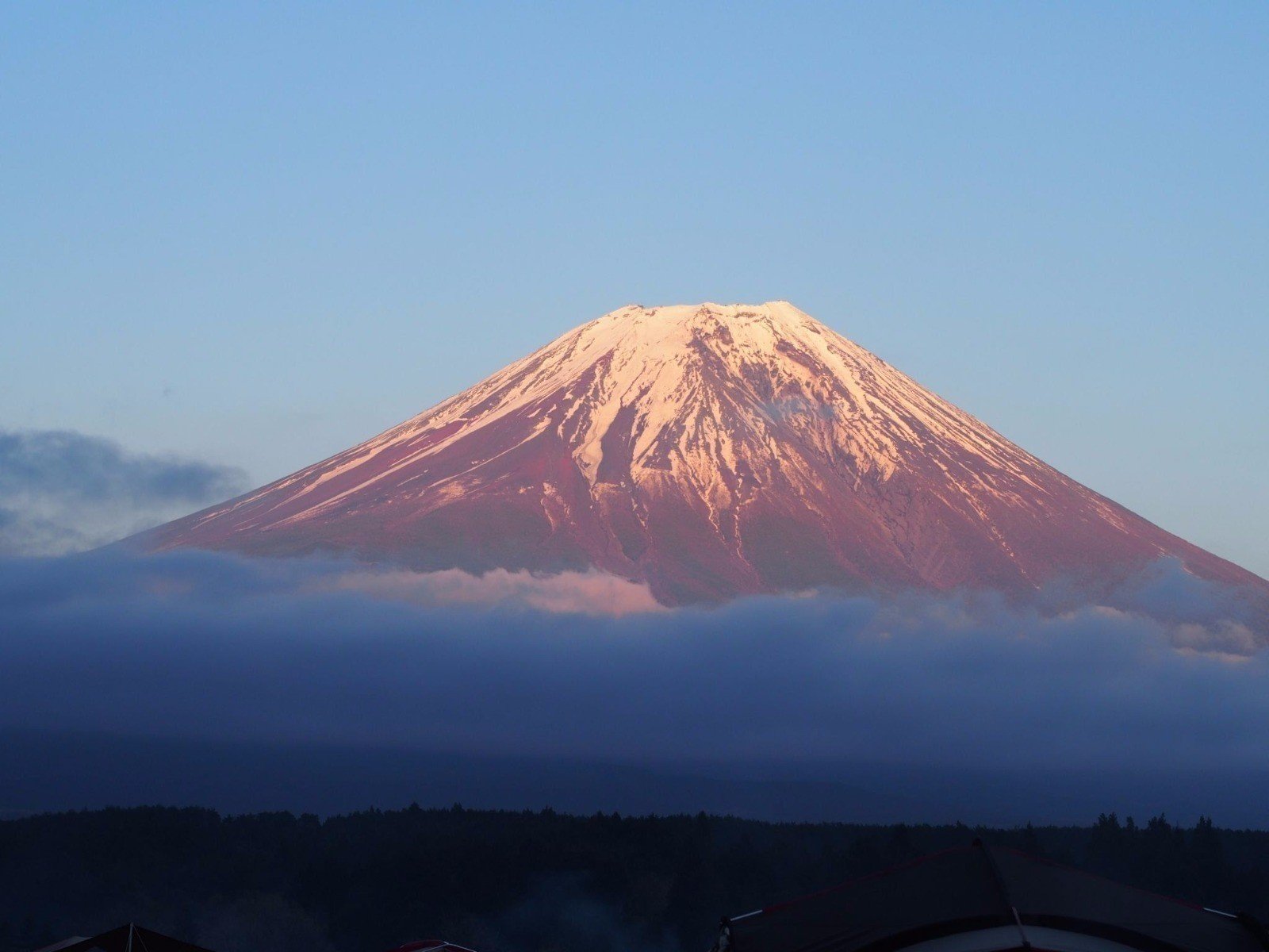 mokoron(こやまもとこ)｜note