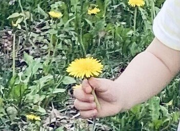 NO.1 Atelier sissy｜Atelier sissy by YUCCA｜note