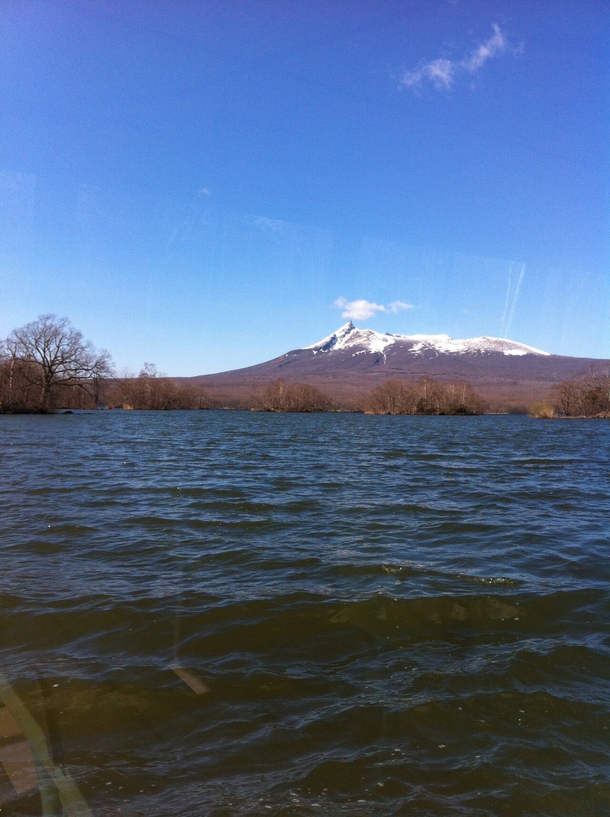 初夏、自然が美しい大沼公園へ｜BitBeans