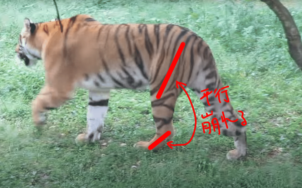 クリーチャーアニメーションのための基礎知識①｜ota_dayo