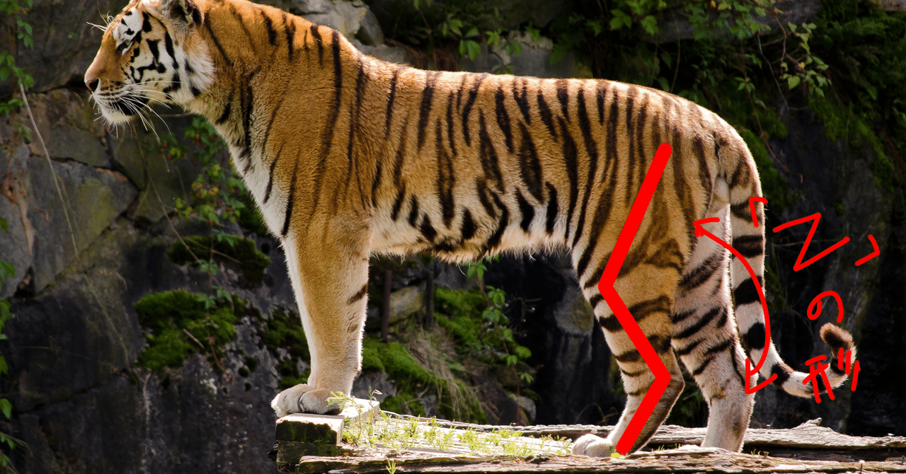 クリーチャーアニメーションのための基礎知識①｜ota_dayo