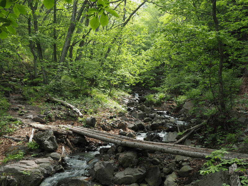 浅間山に登ろう 〜 剣ヶ峰｜Takeshi Hatori