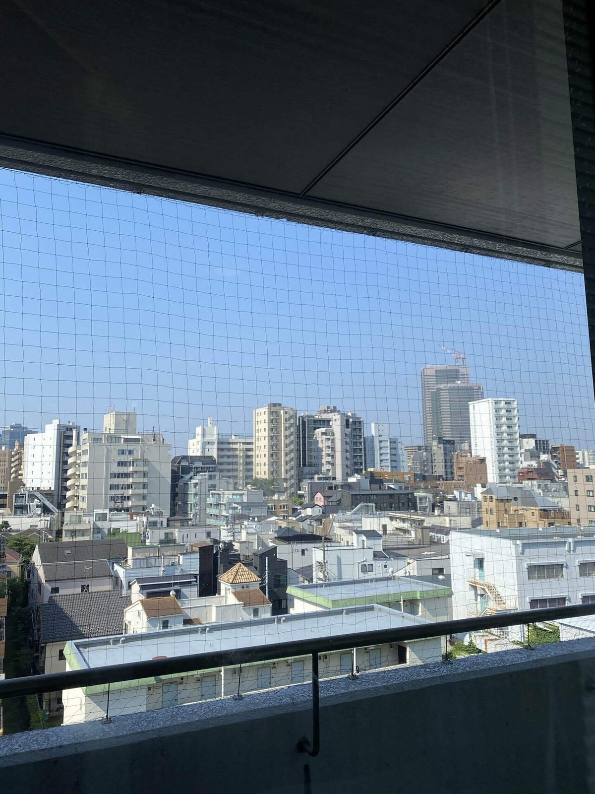 新型コロナウィルス戦記13｜shinsuke inoue