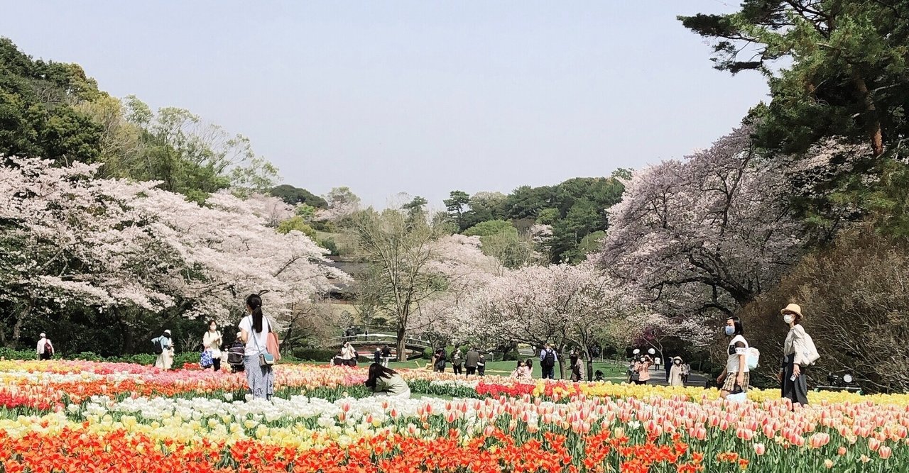 地方都市からフルリモートで働く！｜Workstyleラボ｜ACALL｜note