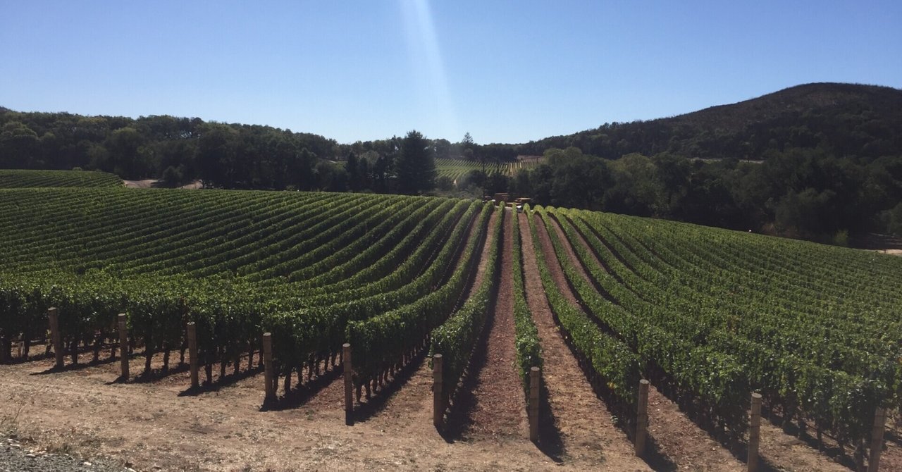 Domaine Carneros (Los Carneros AVA)｜Terry｜note